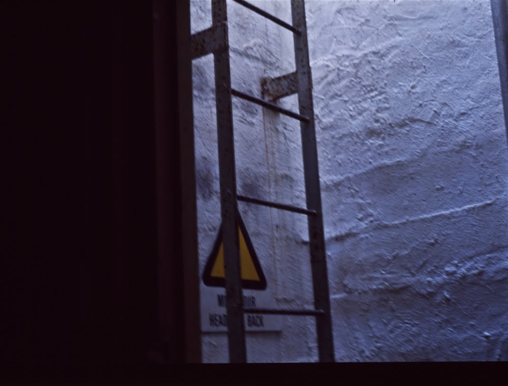 Hannah Ali Photography
